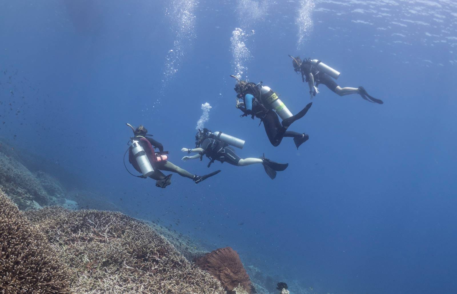 Drift Dive Penida Bali - Legend Diving Penida